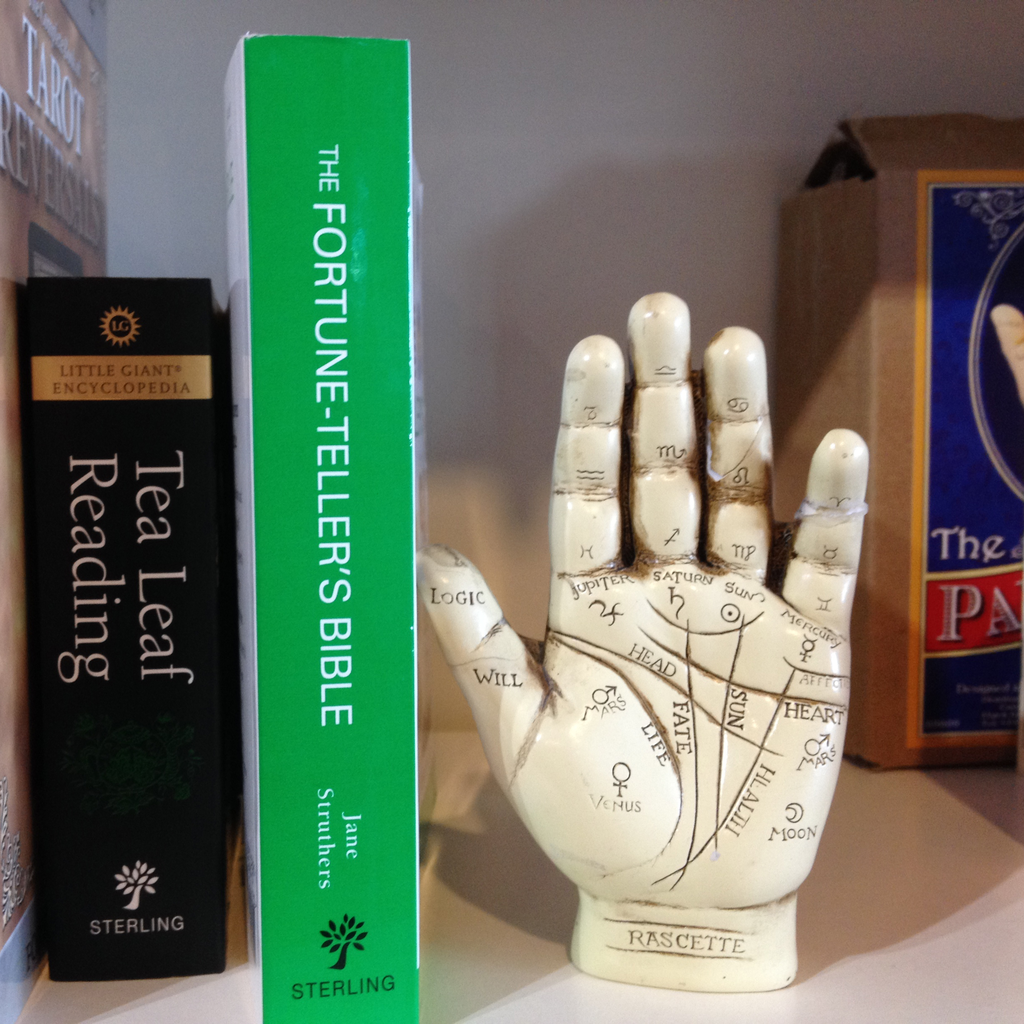 Palmistry Hand Kit – The Divine Mine